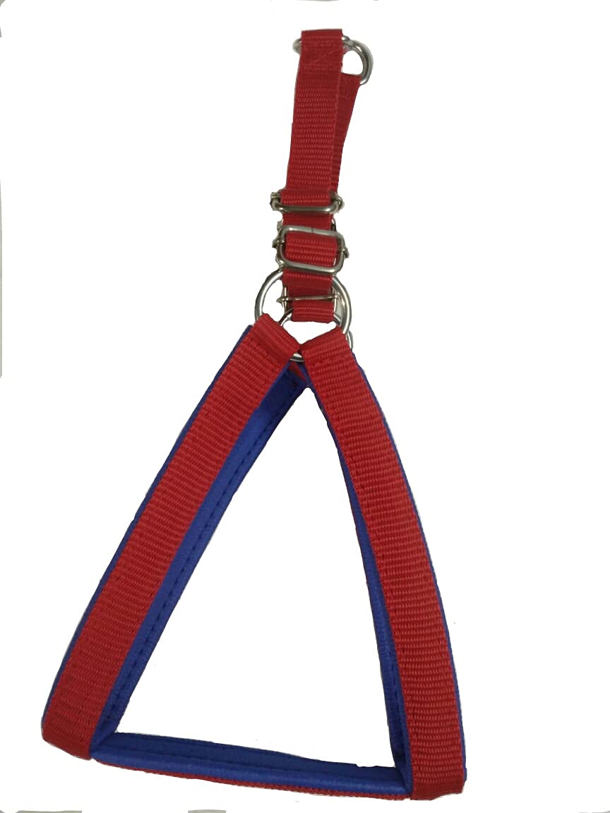 Harness: Amazon.in: Home & Kitchen