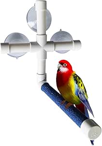 Amazon.com : BLSMU Parakeet Bath Perch, Shower Perch, Parakeets Bird ...