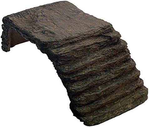 Do Red-Eared Sliders Bite? Be Careful In These 6 Situations!