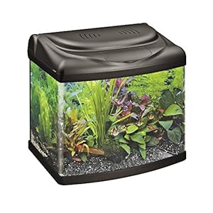 Superfish Aqua 60 Panorama Black: Amazon.co.uk: Pet Supplies