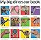Amazon.com: My Big Dinosaur Book (My Big Board Books): 9780312513061 ...