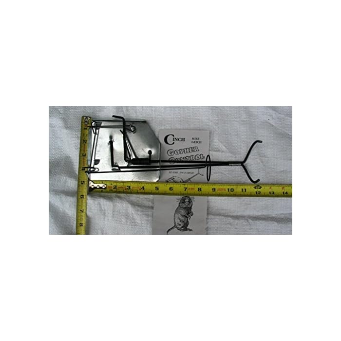 Buy Cinch Gopher Trap with Tunnel Marking Flag Heavy-Duty, Reusable ...