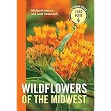 Missouri Wildflowers: A Field Guide to the Wildflowers of Missouri ...