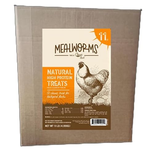 11LB Dried Mealworms for Chicken Hen Birds Ducks Fish Hedgehogs Lizards ...