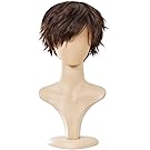 Amazon.com: Ecvtop Wigs for Mens' Death Note Male Short Hair Wig ...