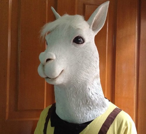 Need help building animatronic Llama head : r/RASPBERRY_PI_PROJECTS
