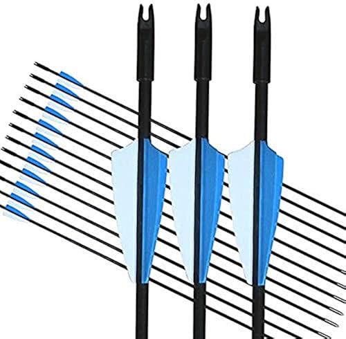 GPP Archery Beginner's First Arrows (30" Fiberglass Target Archery ...