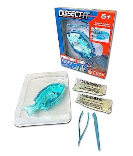 Dissect-It Simulated Synthetic Lab Dissection Toy, STEM Projects for ...
