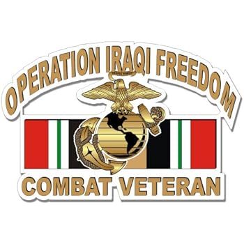 Amazon.com: Combat Action Ribbon 5.5" Clear Decal: Automotive