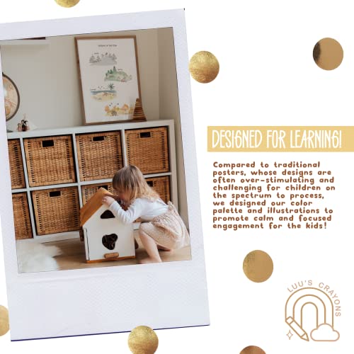 Educational Posters For Toddlers 11x17 Inches - Preschool Posters ...