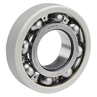 FAG Bearings RADIAL DEEP GROOVE BALL BEARINGS (6318-J20AA-C3): Amazon ...