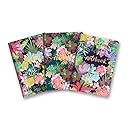 Amazon.com: Studio Oh! Notebook Trio with Three Coordinating Designs ...