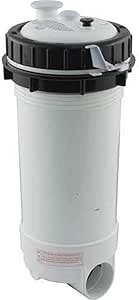 Amazon.com : Pentair R172504B 50 Square Feet Cartridge Replacement ...