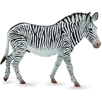 Amazon.com: CollectA Wildlife Grevy's Zebra Toy Figure - Authentic Hand ...