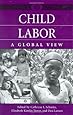 Child Labor: A Global View (A World View of Social Issues): Cathryne L ...