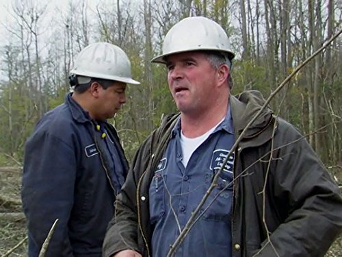 Watch Swamp Loggers - Season 1 | Prime Video