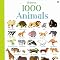 1000 Animals (1000 Pictures): Amazon.co.uk: Jessica Greenwell, Nikki ...