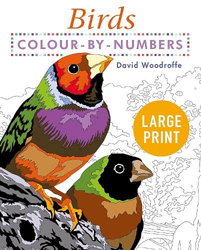 Amazon.com: Large Print Colour by Numbers Birds: Easy-to-Read ...