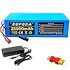 WOGQX 48V Ebike Battery, 25Ah Lithium Ion Battery Pack,with BMS, Charger, T-Plug, XT60 Connector ...