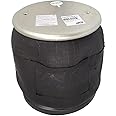 Amazon.com: Air Spring Rolling Lobe 410.P8813 W01-358-9069 64274 C81 ...
