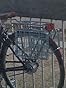 Wald 582 Rear Folding Bicycle Basket (12.75 x 7.25 x 8.5, Black ...