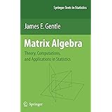Matrix Algebra: Theory, Computations and Applications in Statistics ...