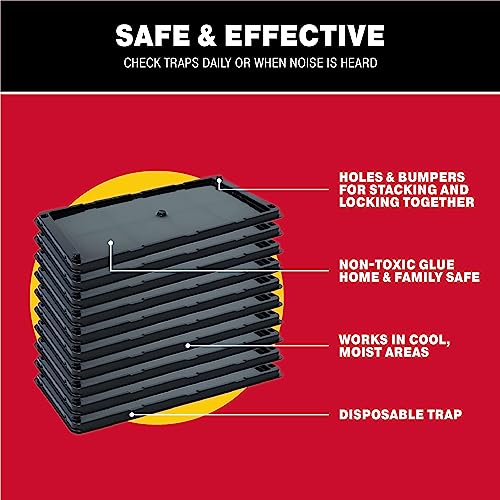 Catchmaster Glue Mouse Traps Indoor for Home 10PK, Bulk Glue Traps for ...