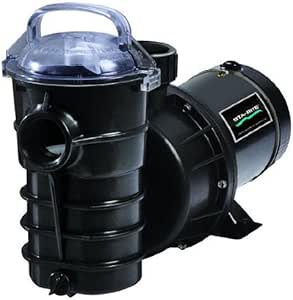 Amazon.com : Pentair Sta-Rite 347970SR Dynamo Single Speed Aboveground ...