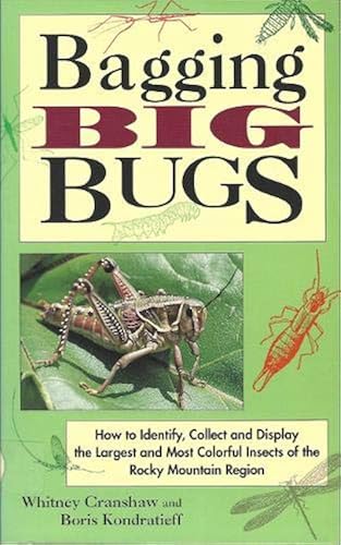Bagging Big Bugs: How to Identify, Collect, and Display the Largest and ...
