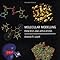 Molecular Modelling: Principles and Applications: Amazon.de: Andrew R ...