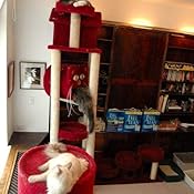 Amazon.com : Molly and Friends "Loft and Round" Premium Handmade 2-Tier ...