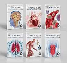 Human Body - Collection of 6 Books : Knowledge Encyclopedia For ...