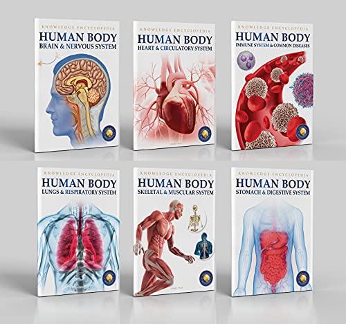 Human Body Box Set Knowledge Encyclopedia For Children: 9789390183630 ...
