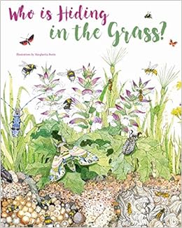 Who is Hiding in the Grass?: Borin, Margherita: 9788854411470: Amazon ...