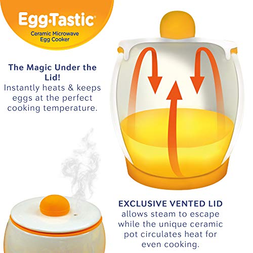 Egg-Tastic Egg Cooker - Best Price & Reviews | ShopSavvy