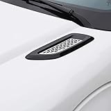 Amazon.com: Hood Vent Air Grille 1 Pair Left and Right Side Fit for ...
