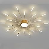 Liudefa 42 Inch LED Ceiling Light Fixture,20 Lights Modern Ceiling ...