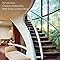 Alan I W Frank House: The Modernist Masterwork by Walter Gropius and ...