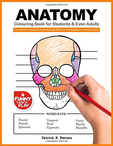 Anatomy Colouring Book for Students & Even Adults: The Anatomy ...