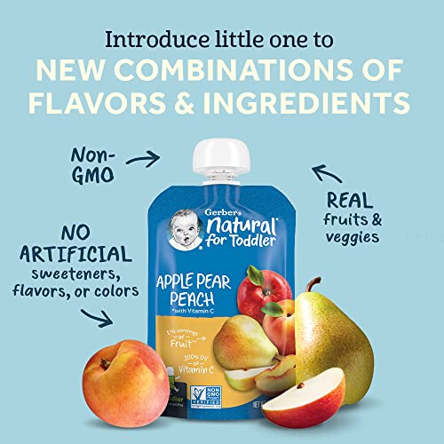 Gerber Food Stages Gerber Organic Baby Food Stage 1 Puree Glass Jar