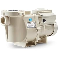 Amazon.com : Pentair 011018 IntelliFlo Variable Speed High Performance ...