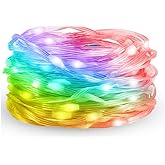 paulzhang DC12V WS2811/WS2812 Pebble Pixel Lights String Seed Pixel ...