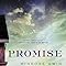 Promise: A Novel: Minrose Gwin: 9780062791849: Amazon.com: Books