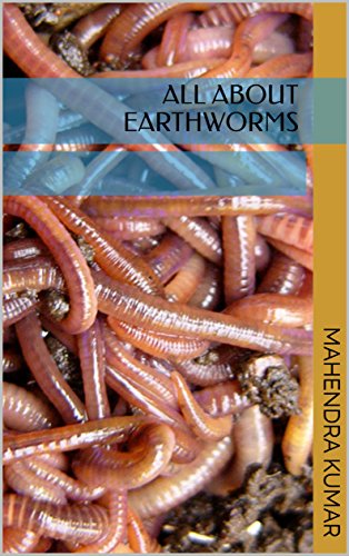 All About Earthworms: Mahendra Kumar: 9781537043388: Amazon.com: Books