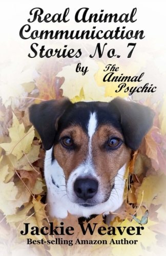 Real Animal Communication Stories No. 7: by The Animal Psychic: Weaver ...