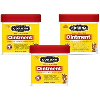 Amazon.com: Corona Ointment 14oz: Health & Personal Care