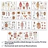 11 Human Anatomy Posters - Medical Posters, Skeletal, Male Female ...