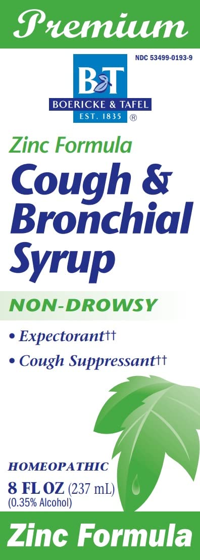 Mua Nature's Way Boericke & Tafel Cough & Bronchial Syrup with Zinc ...