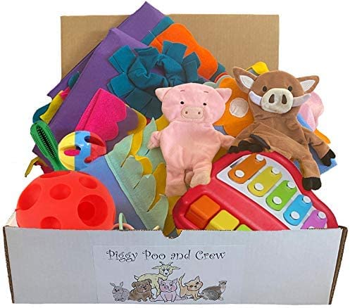 Piggy Poo and Crew Pig Box - $130 Value - Two Rooting Mats, Peanut ...
