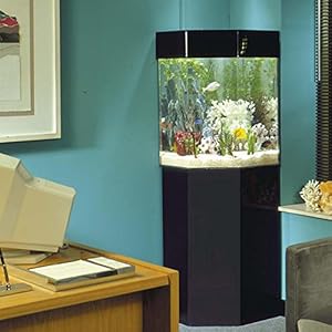 Amazon.com : PentaView Triangle Corner 35 Gallon Aquarium with Stand ...